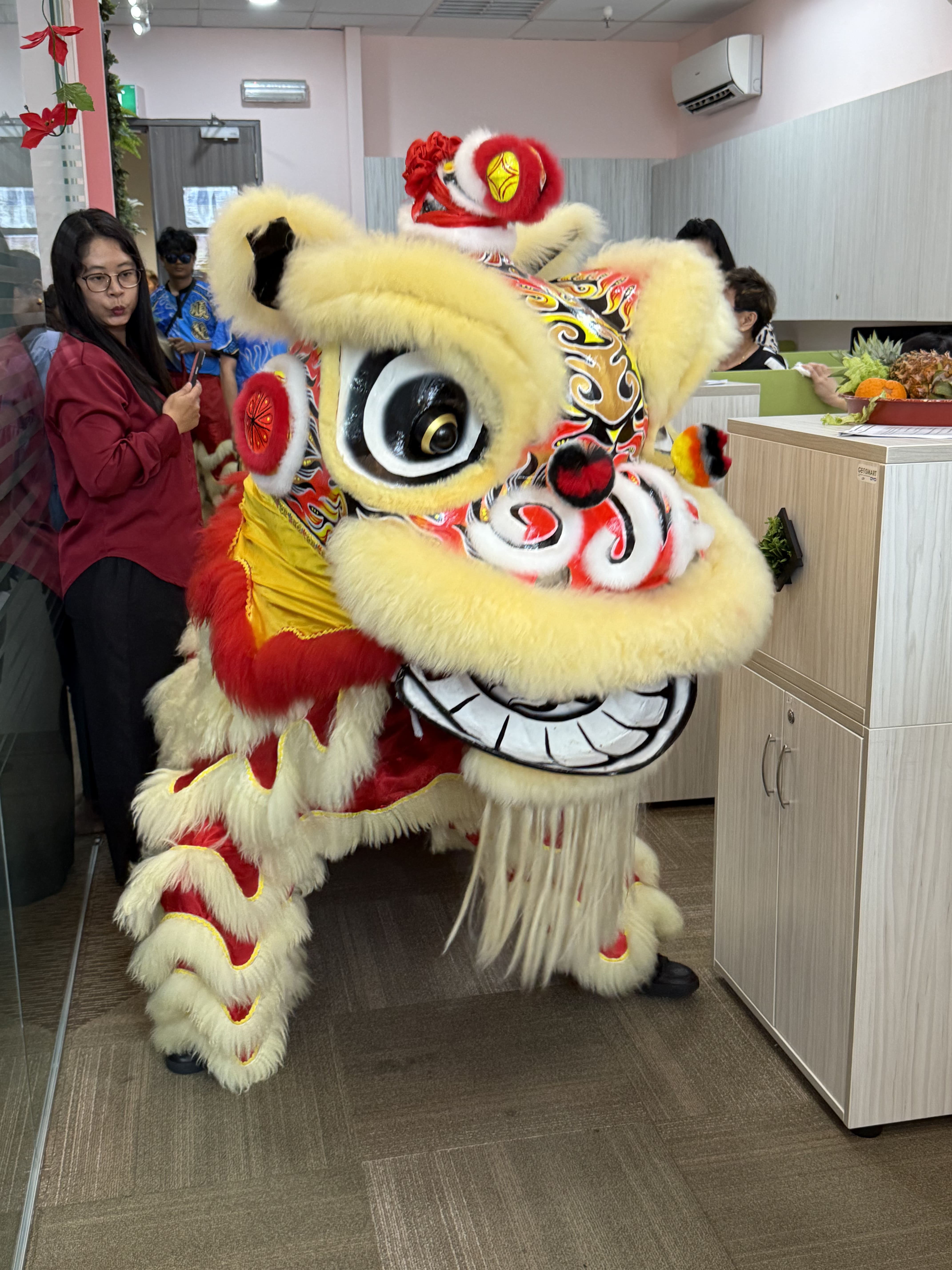Chinese New Year Celebrations 2025 - Geosmart